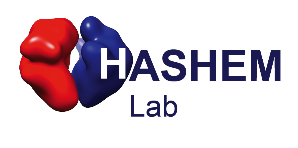 Team : THE HASHEM LAB
